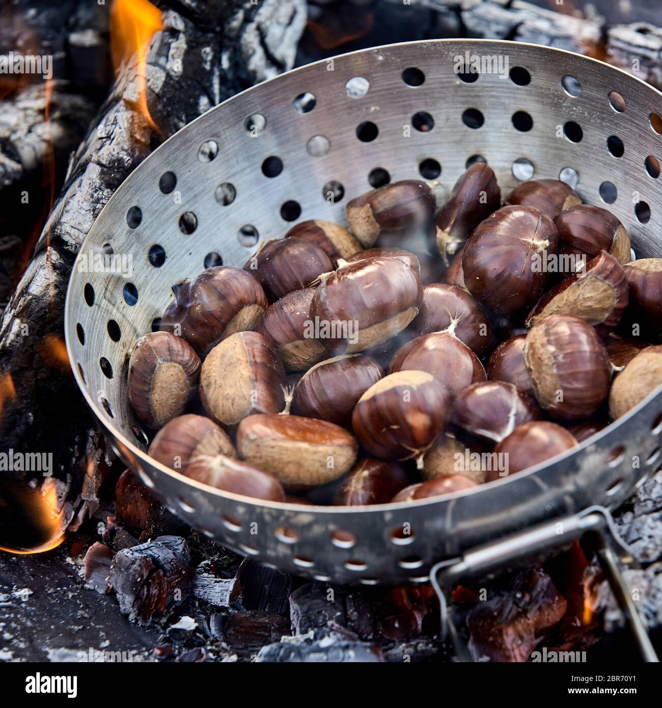 Fresh whole sweet chestnuts in their shells in a metal roaster over hot ...