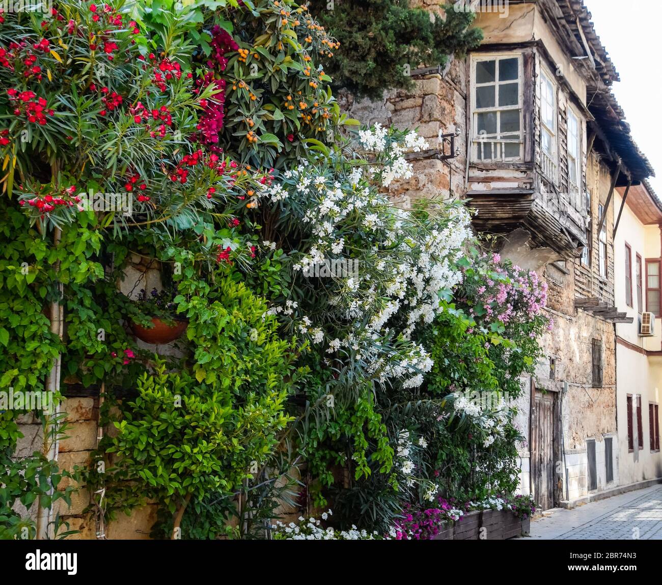 streets of the old town of Kaleici. Ancient district in the city of ...