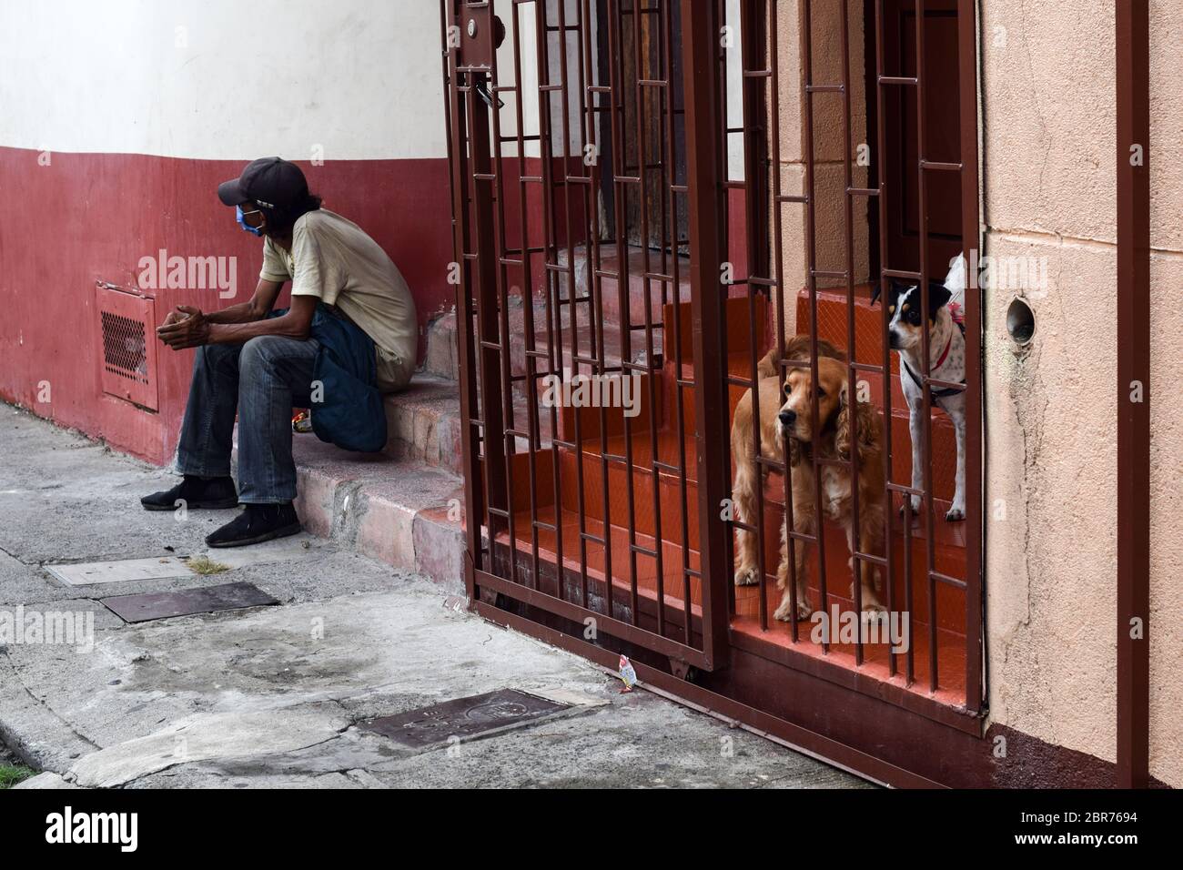 Homeless man with dogs hi-res stock photography and images - Alamy