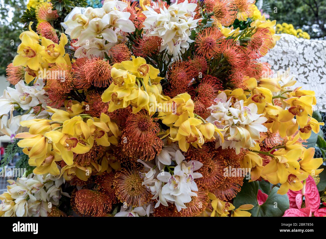 Beauty floristic decoration with colorful tropical flowers Stock Photo ...