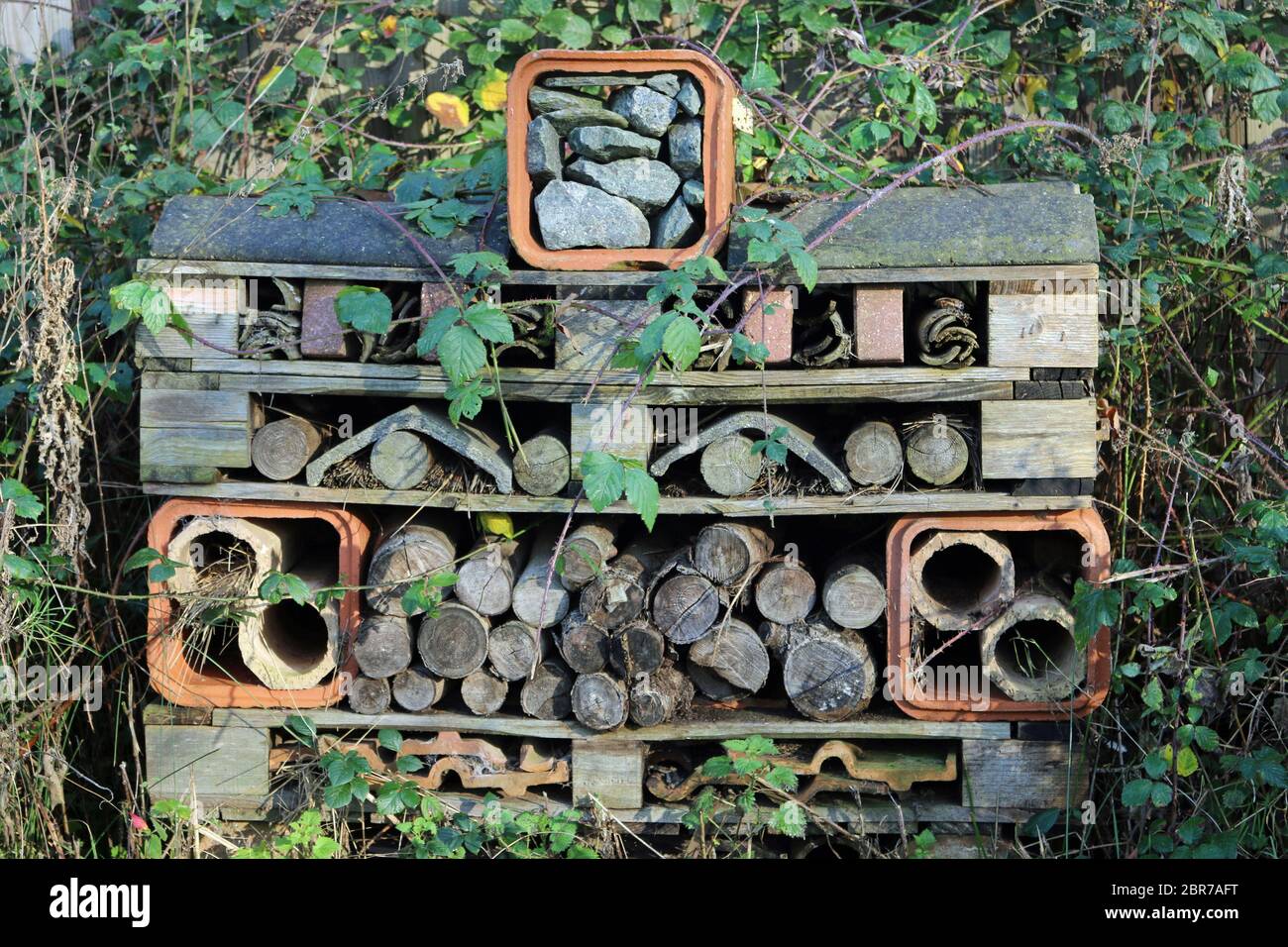 A bug hotel for insects and other invertebrates made from wooden ...