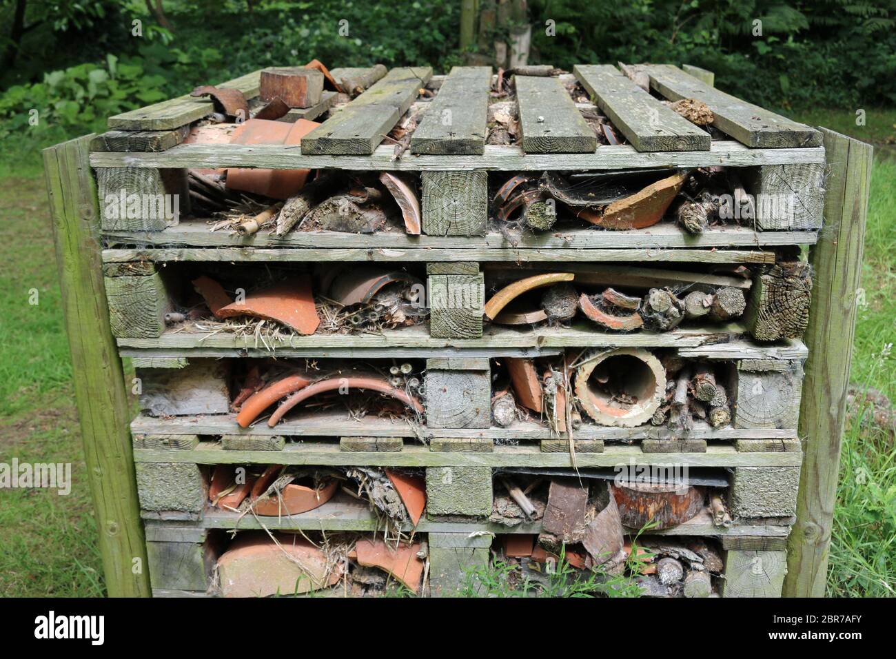 Bug hotel in a frame of wooden pallets containing logs, branches ...