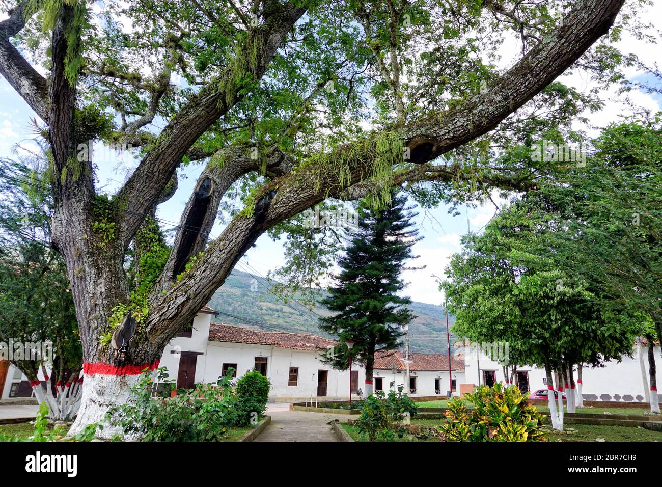 Santander park colombia hi-res stock photography and images - Alamy