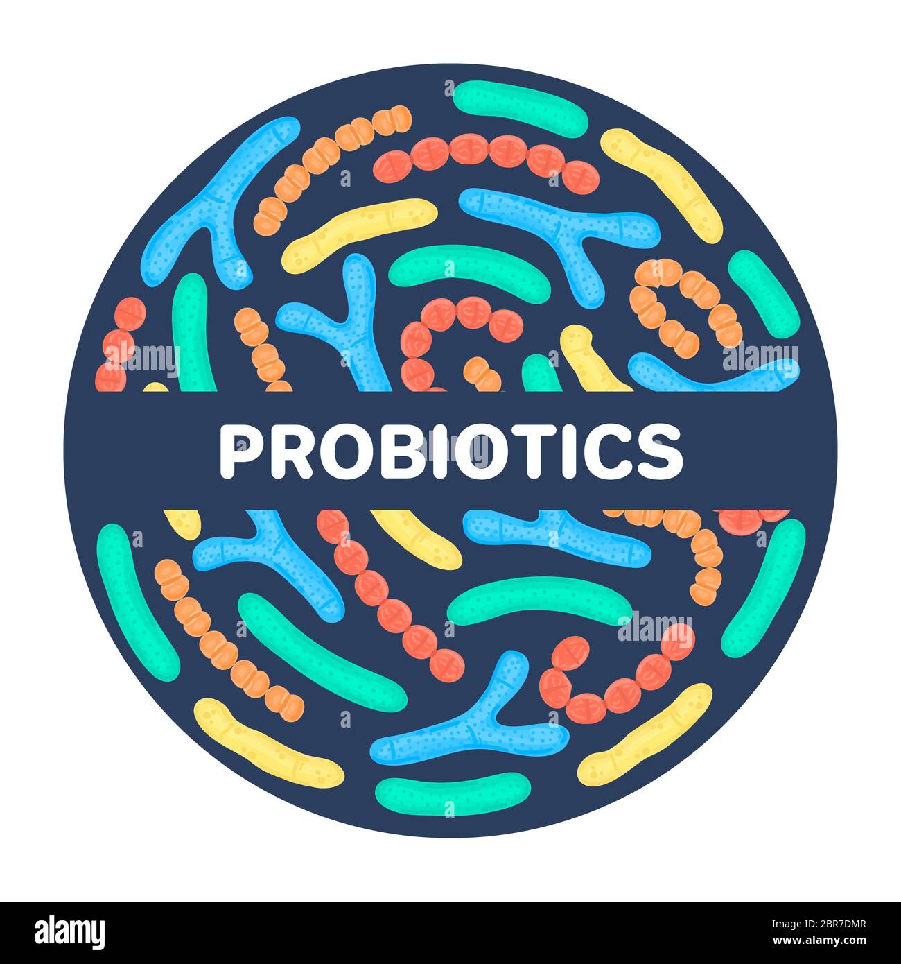 Vector probiotics in circular shape. Bifidobacterium, lactobacillus ...