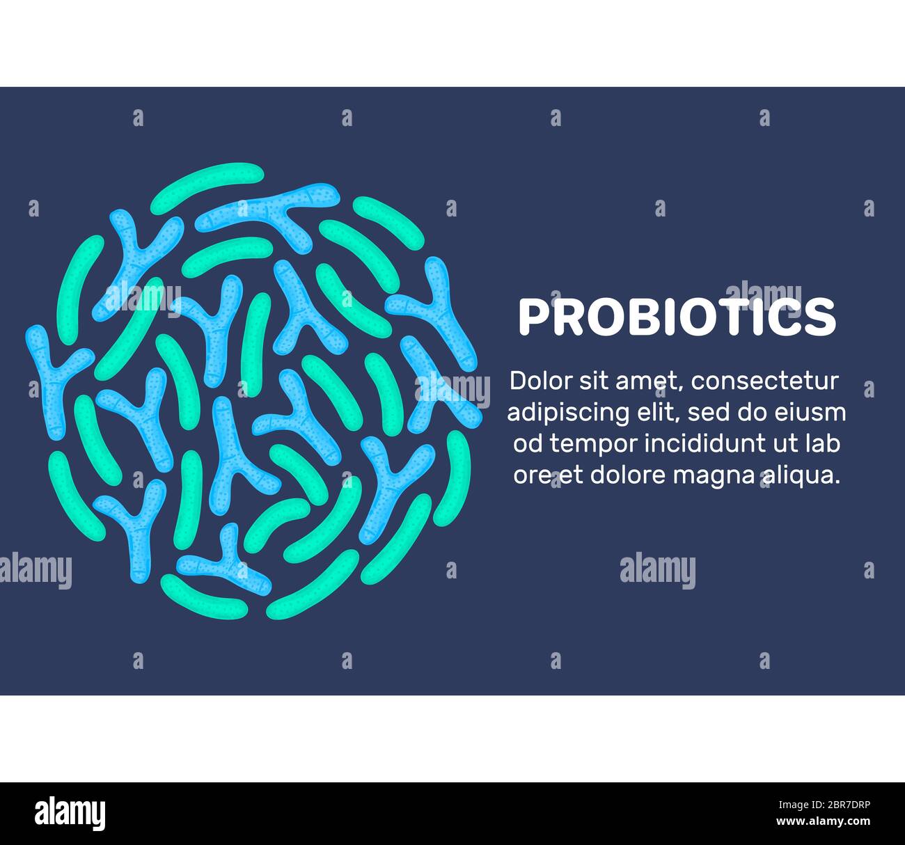 Vector background with probiotics in circular shape. Bifidobacterium ...