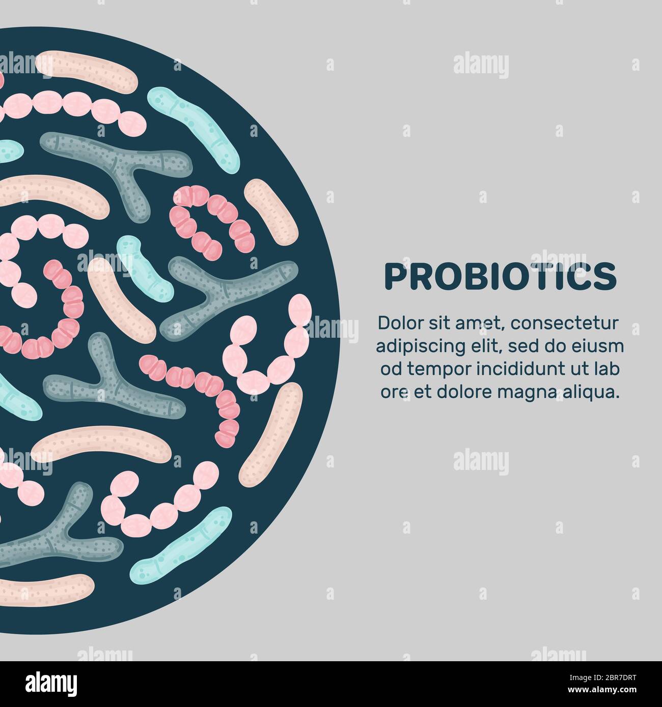 Vector background with probiotics in semicircular shape ...