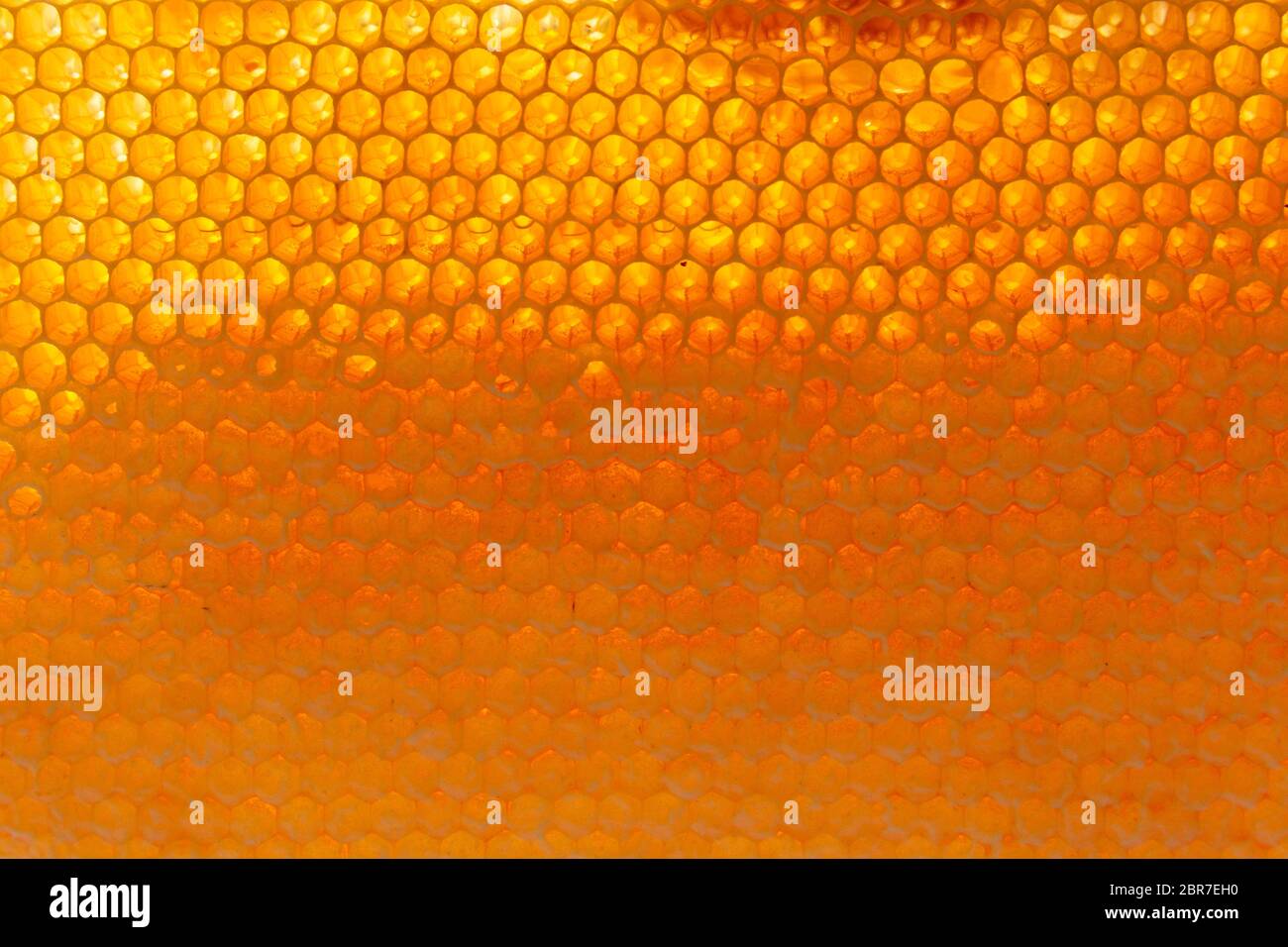 Closeup of honey bee cells background Stock Photo - Alamy