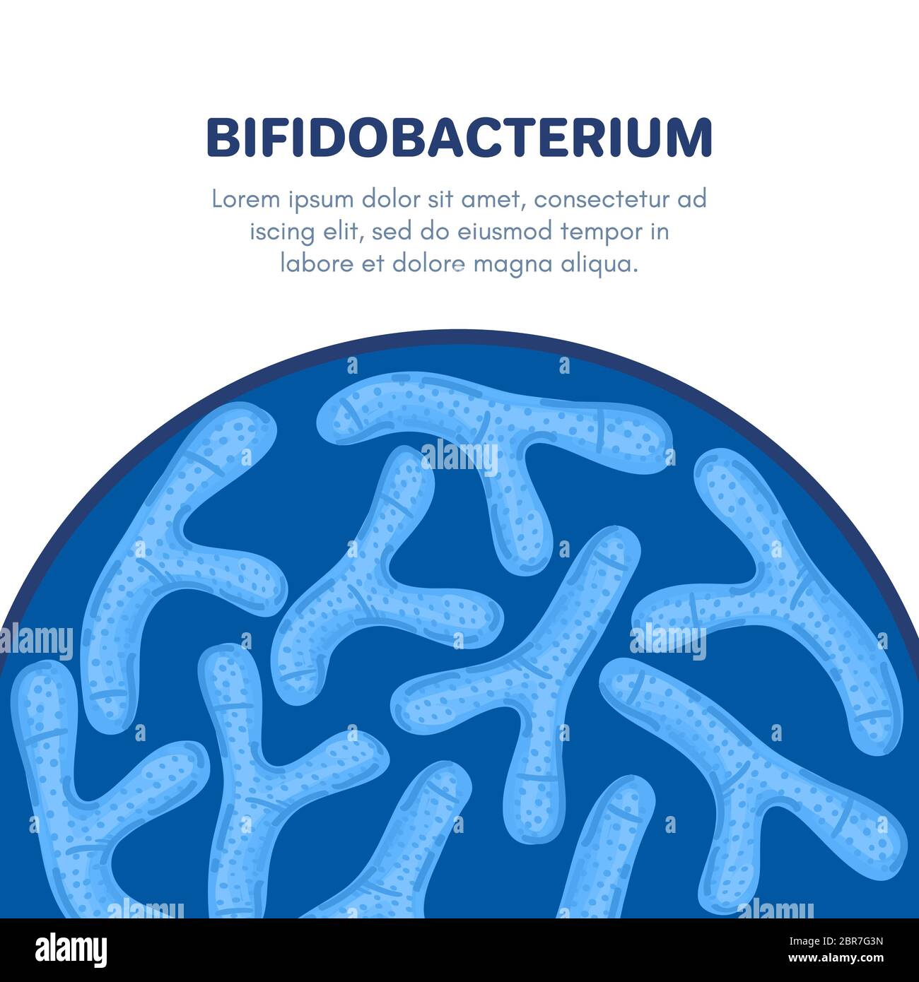 Vector background with probiotics in semicircular shape ...