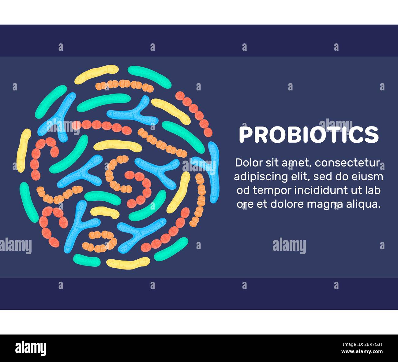 Vector background with probiotics in circular shape. Bifidobacterium ...