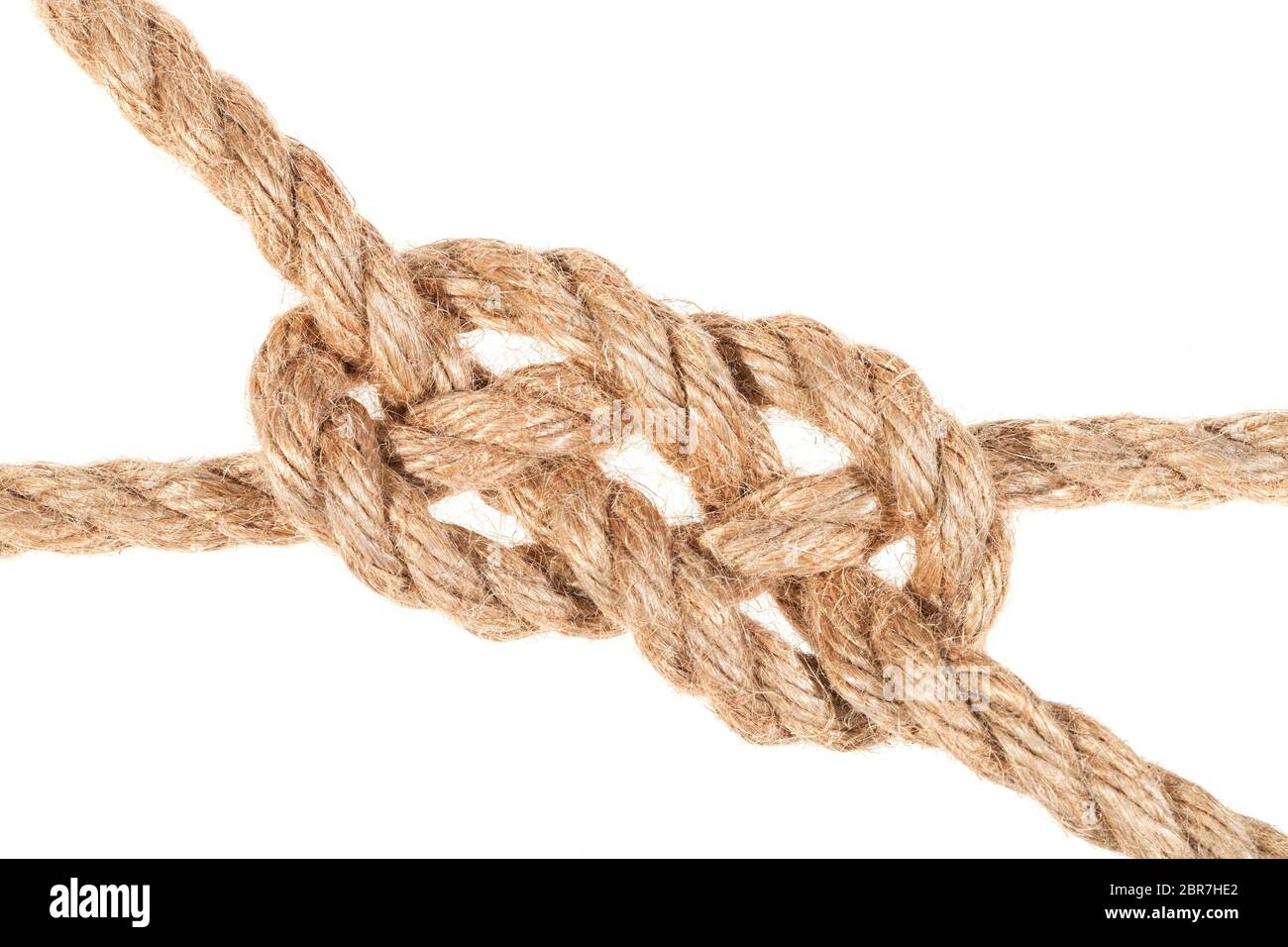 carrick bend knot joining two ropes close up isolated on white ...