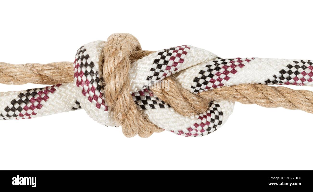 flemish bend joining two ropes close up isolated on white background ...