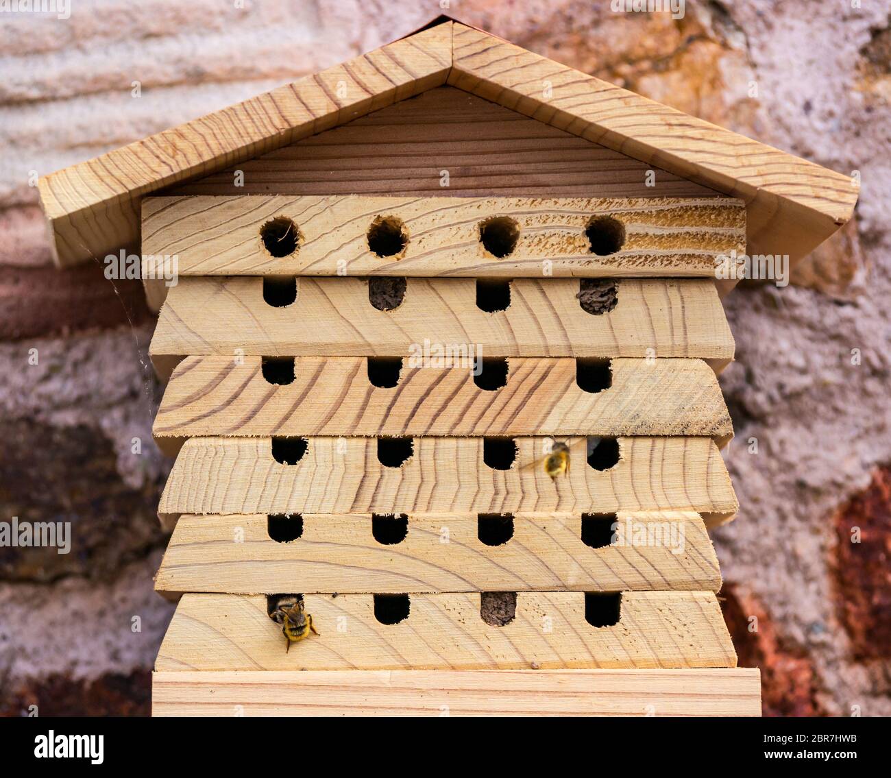 Bee hotel hi-res stock photography and images - Alamy