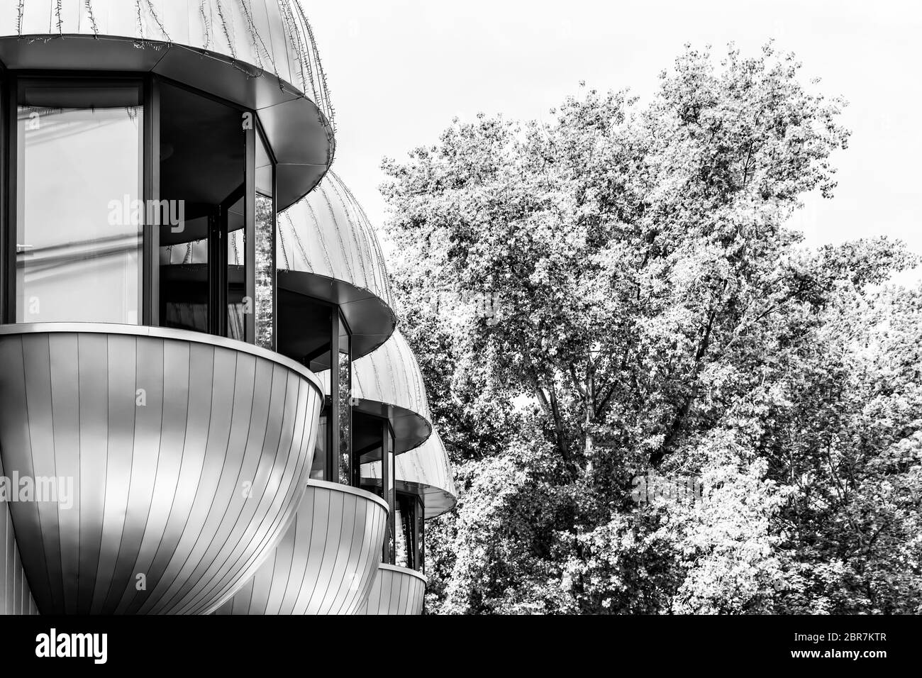 Oval shaped trees Black and White Stock Photos & Images - Alamy