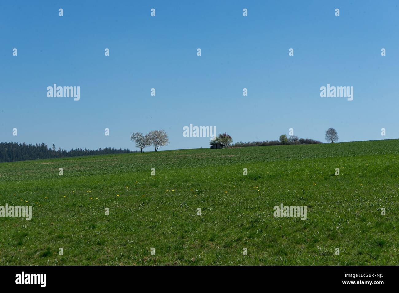 Landscape of the nature sanctuary of the german city called Hallenberg ...