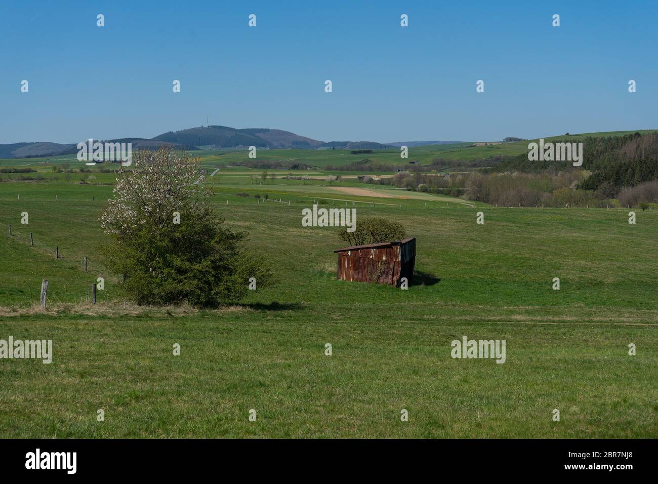 Landscape of the nature sanctuary of the german city called Hallenberg ...