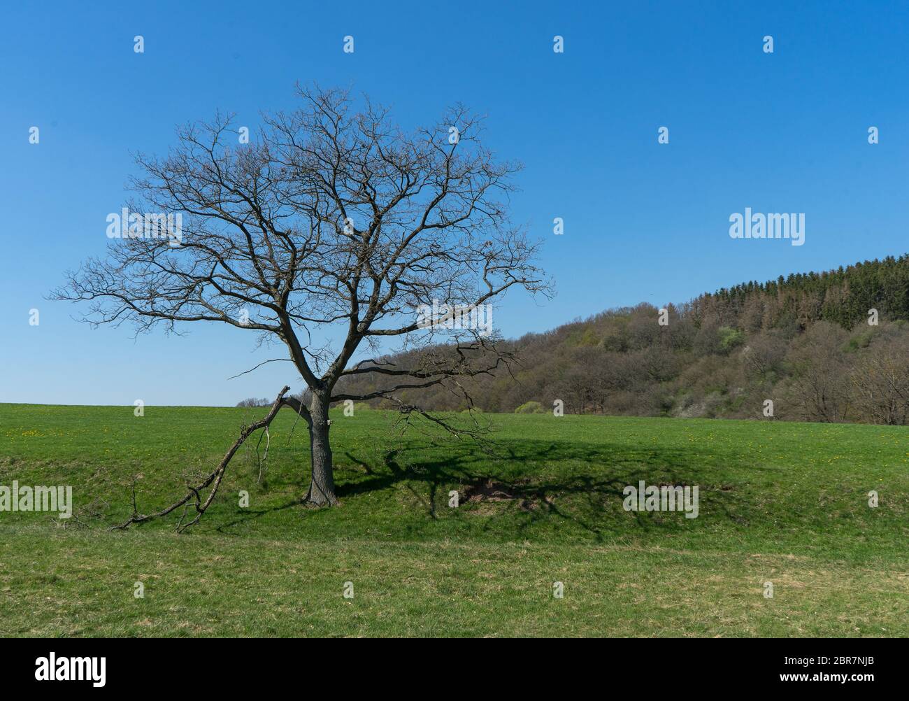 Landscape of the nature sanctuary of the german city called Hallenberg ...