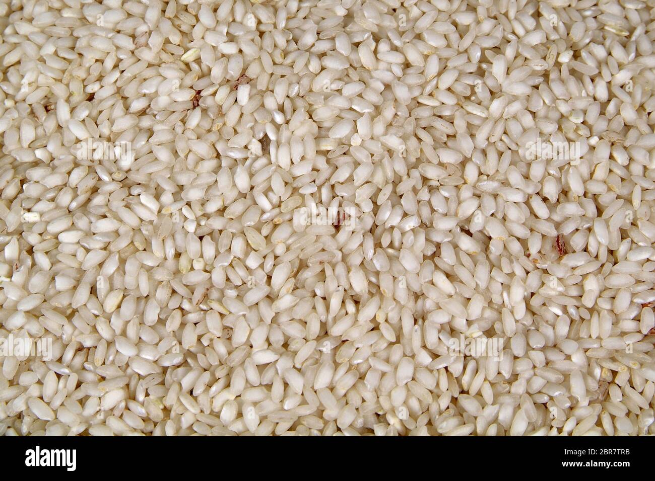 Close up white rice texture background, inside rice mill Stock Photo ...