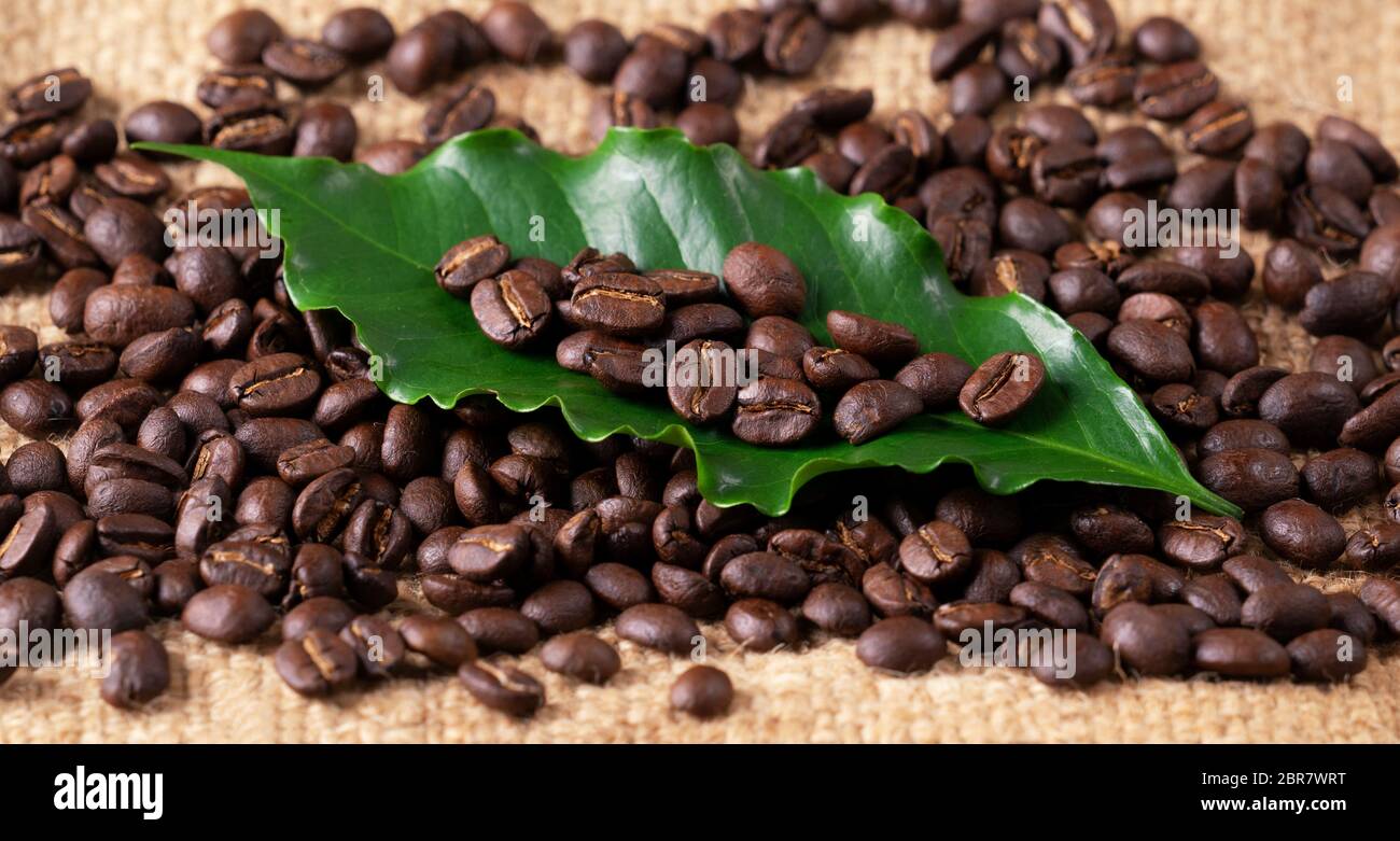 roasted coffee bean with leave on linin sack Stock Photo - Alamy