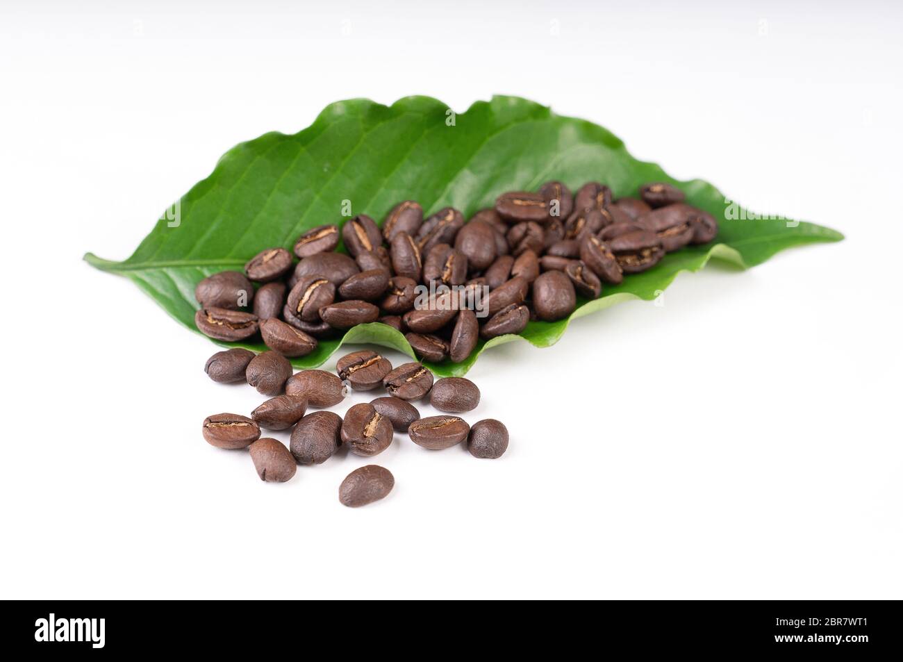 roasted coffee bean with leave isolated on white background Stock Photo - Alamy
