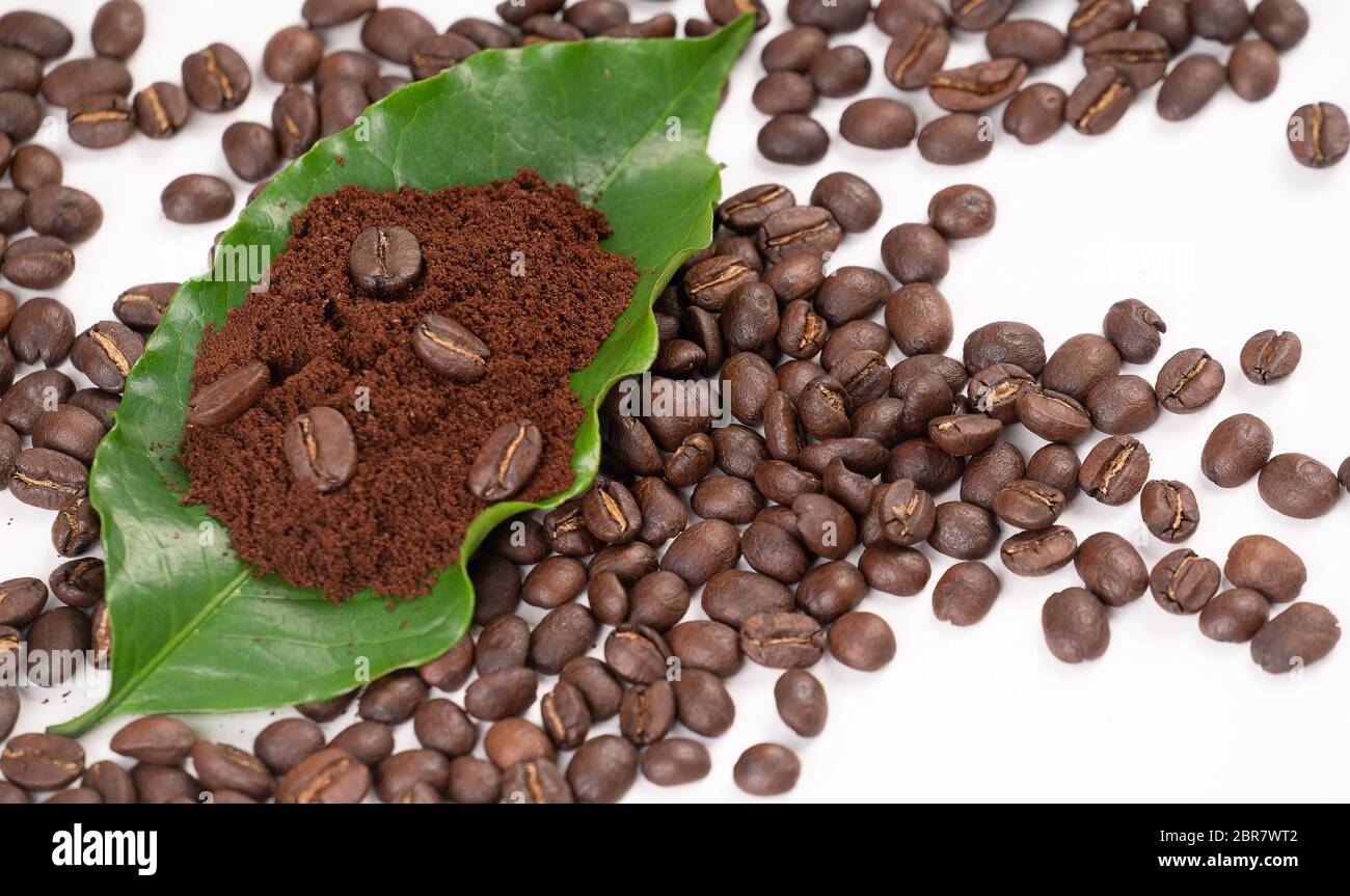 roasted coffee bean with leave isolated on white background Stock Photo - Alamy