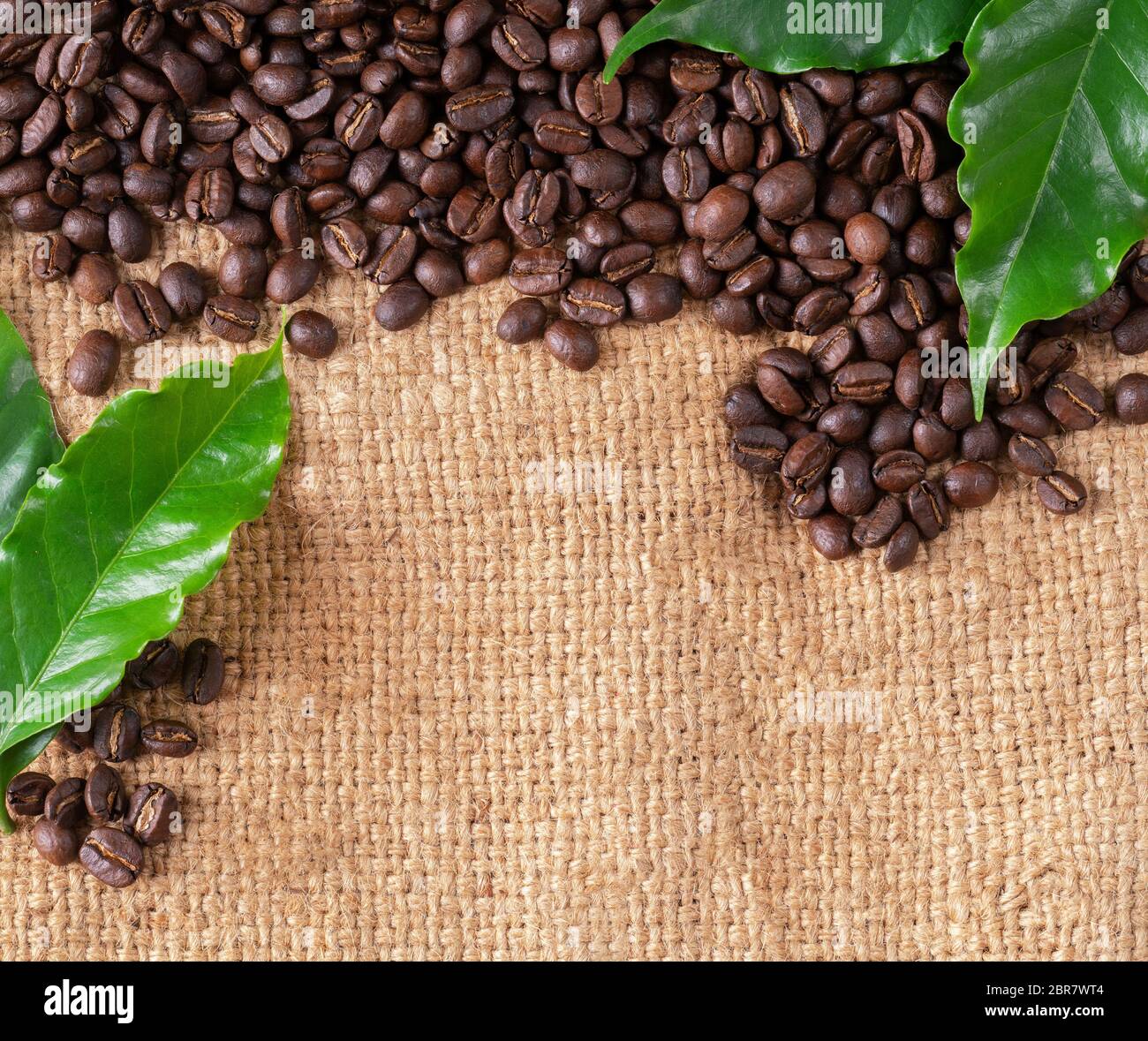roasted coffee bean with leave on linin sack Stock Photo - Alamy