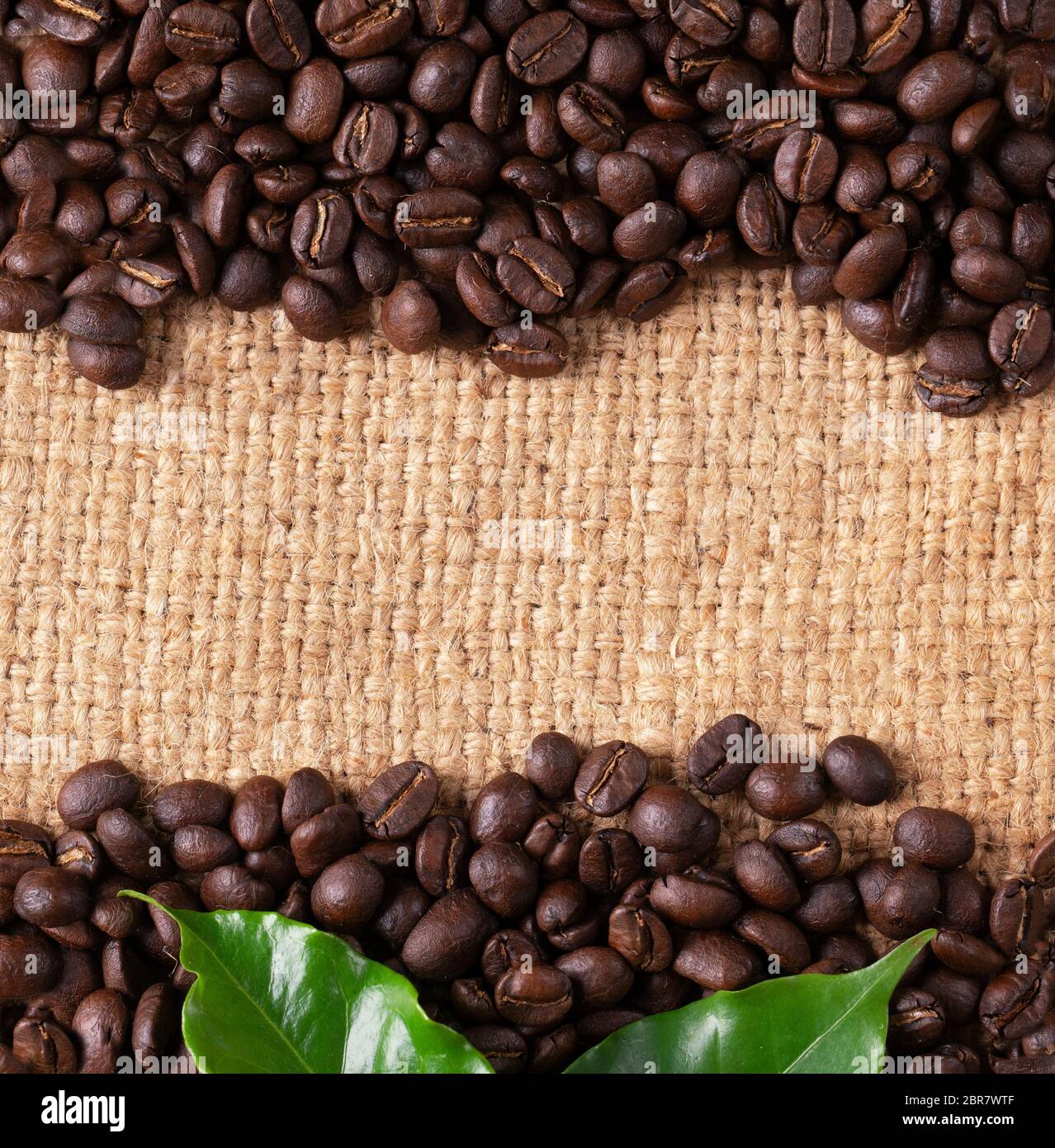 roasted coffee bean with leave on linin sack Stock Photo - Alamy