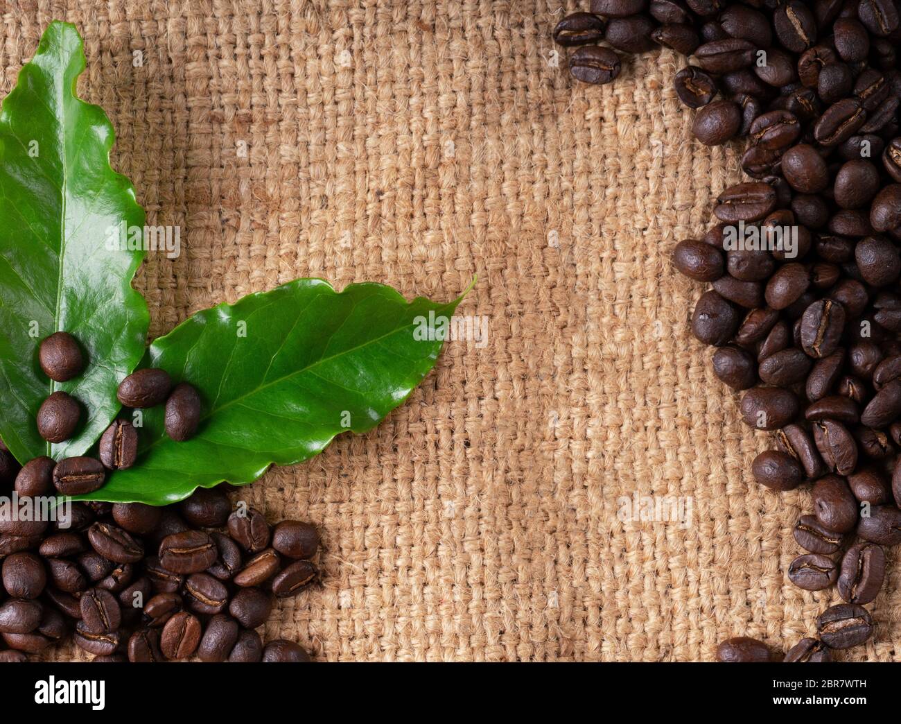 roasted coffee bean with leave on linin sack Stock Photo - Alamy