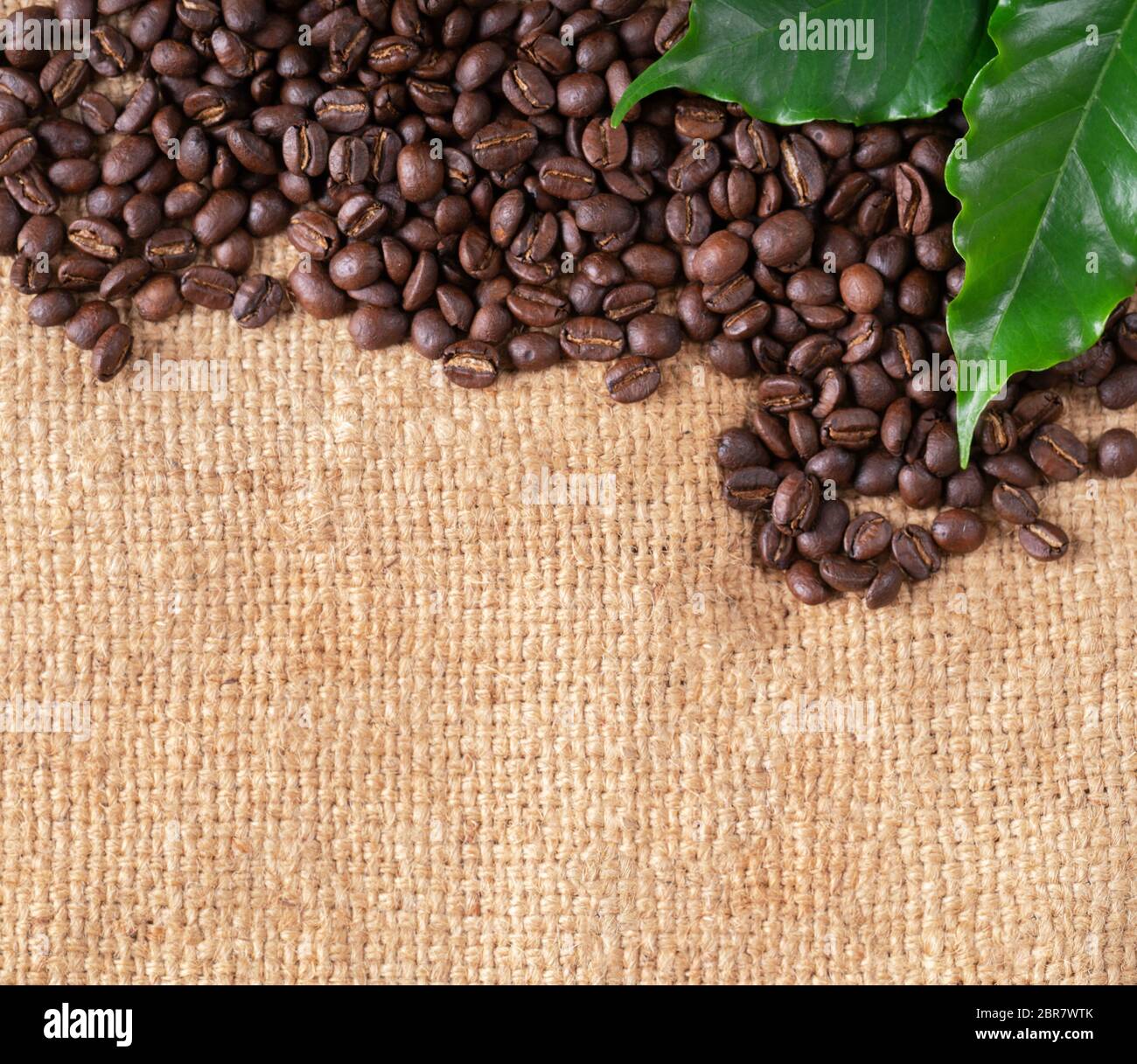 roasted coffee bean with leave on linin sack Stock Photo - Alamy