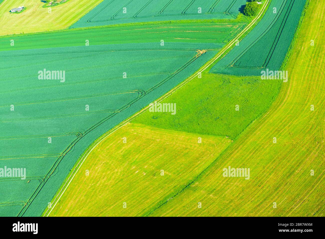 green agriculture landscape from above Stock Photo - Alamy