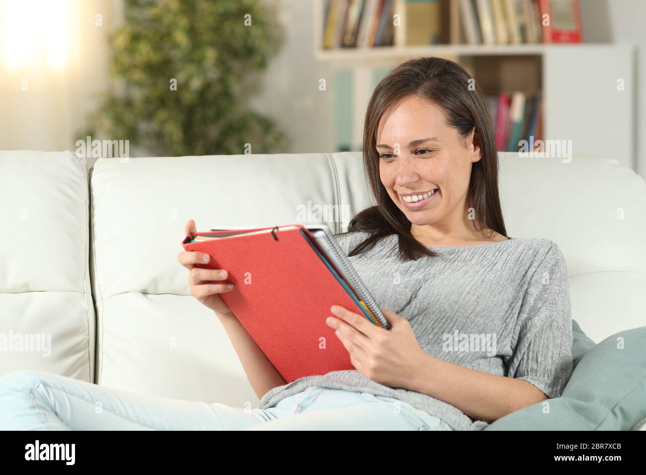 Happy adult student learning reading notes sitting on a couch in the ...