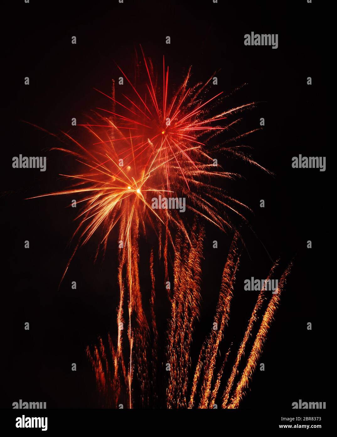 Orange-red fireworks looking like flowers, at national celebration ...