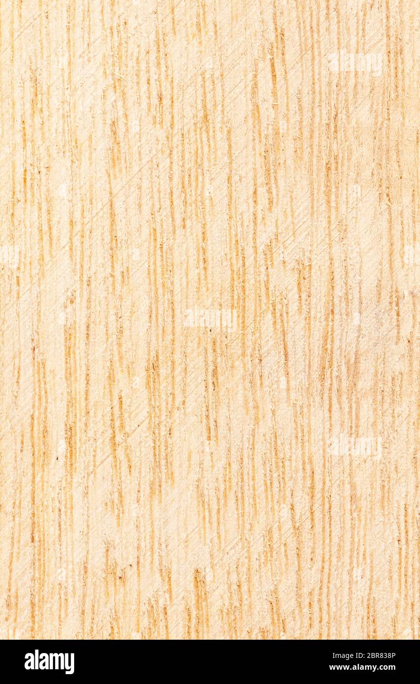 African sandalwood tree hi-res stock photography and images - Alamy