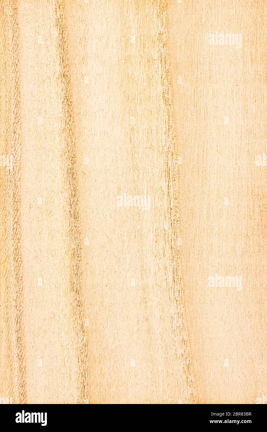 Walnut tree wood textured background Stock Photo - Alamy
