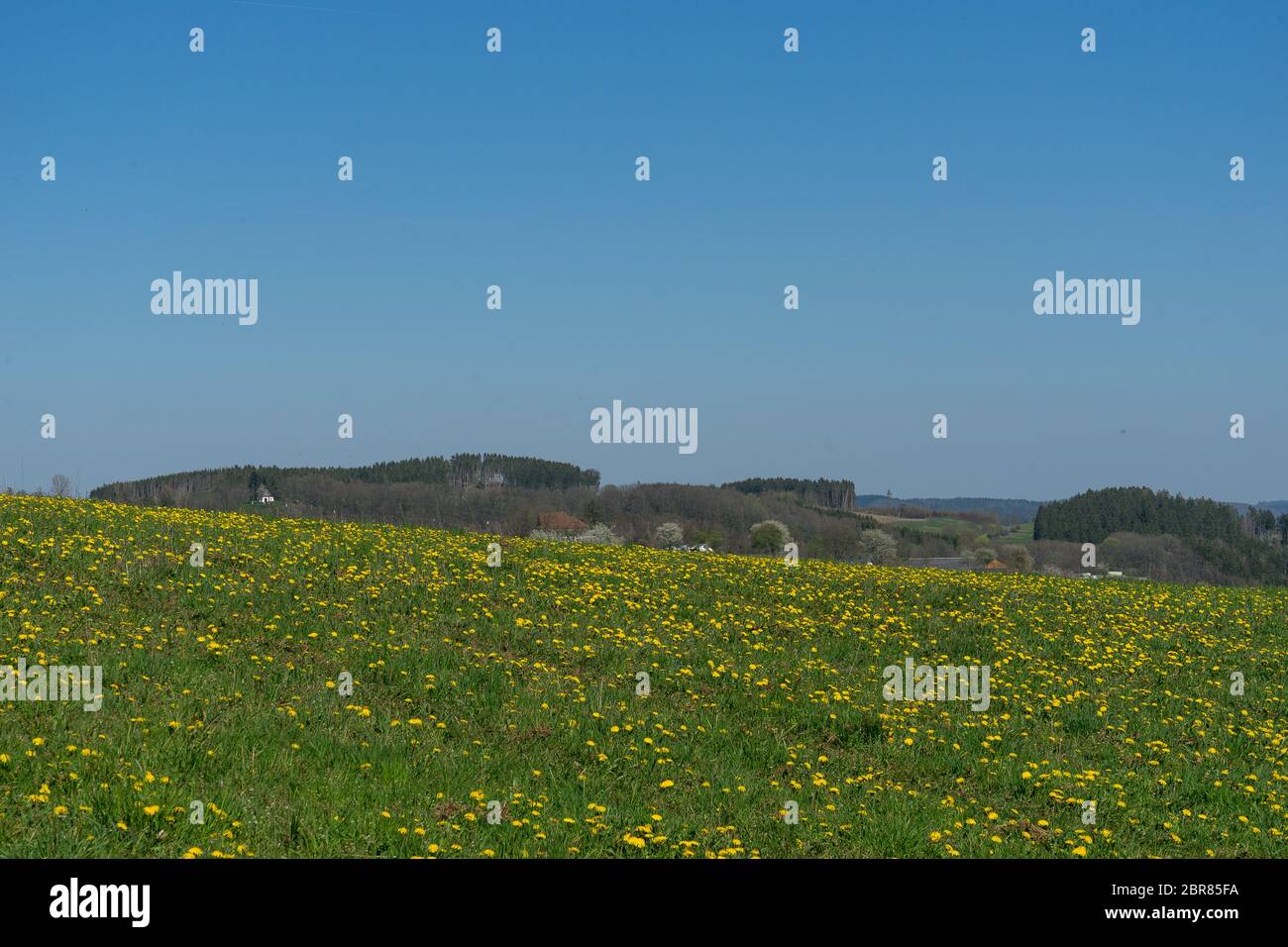 Landscape of the nature sanctuary of the german city called Hallenberg ...