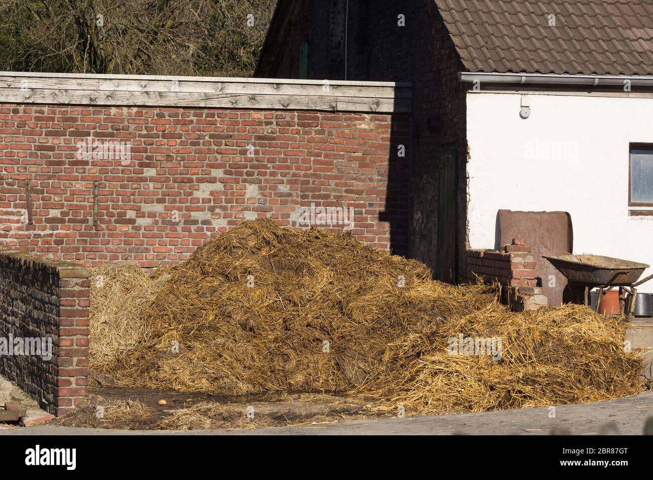 Pile of stinking dung. Manure heap on a farmhouse in Germany Stock ...