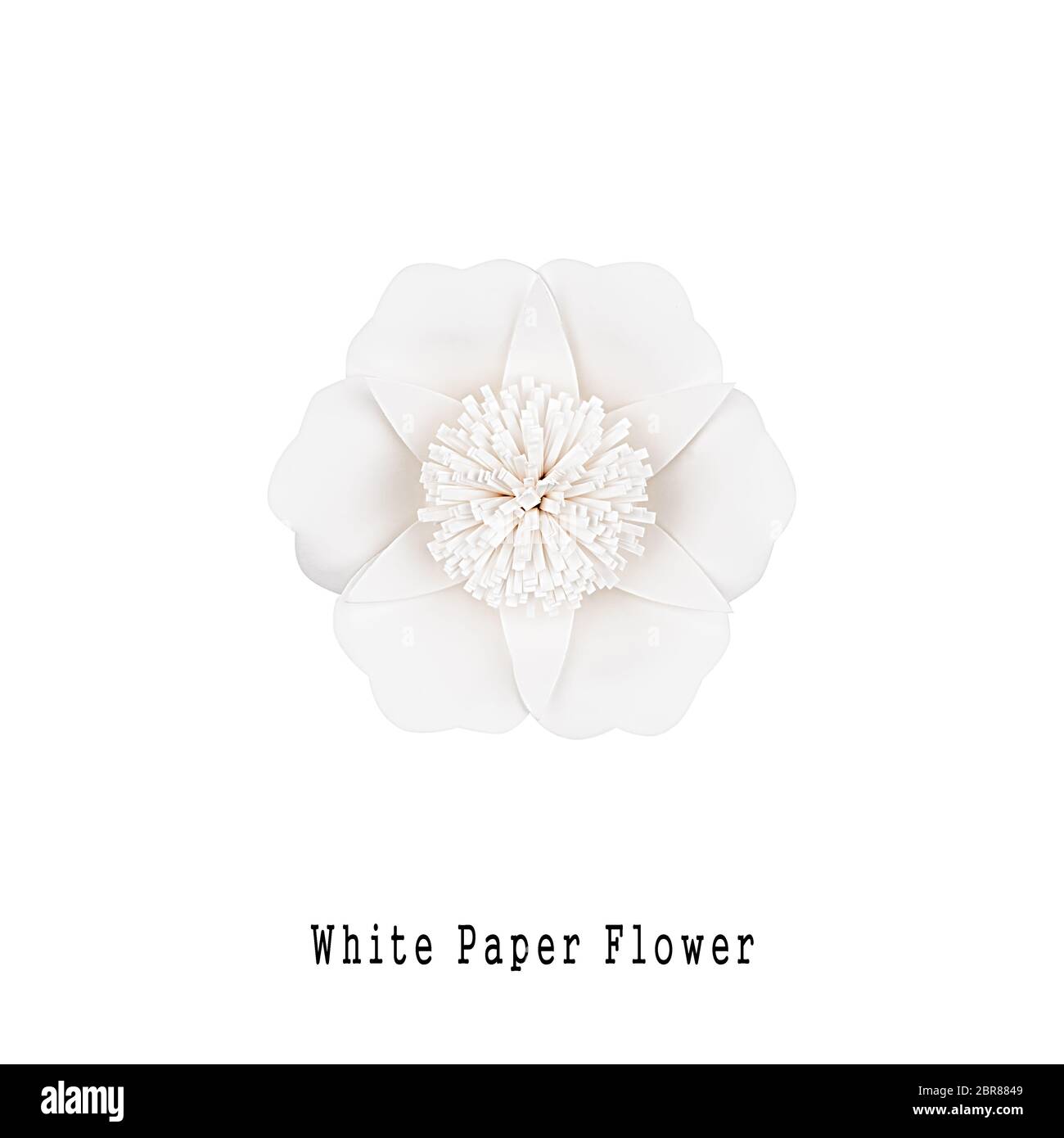 White paper flower handmade, top view, isolated Stock Photo - Alamy