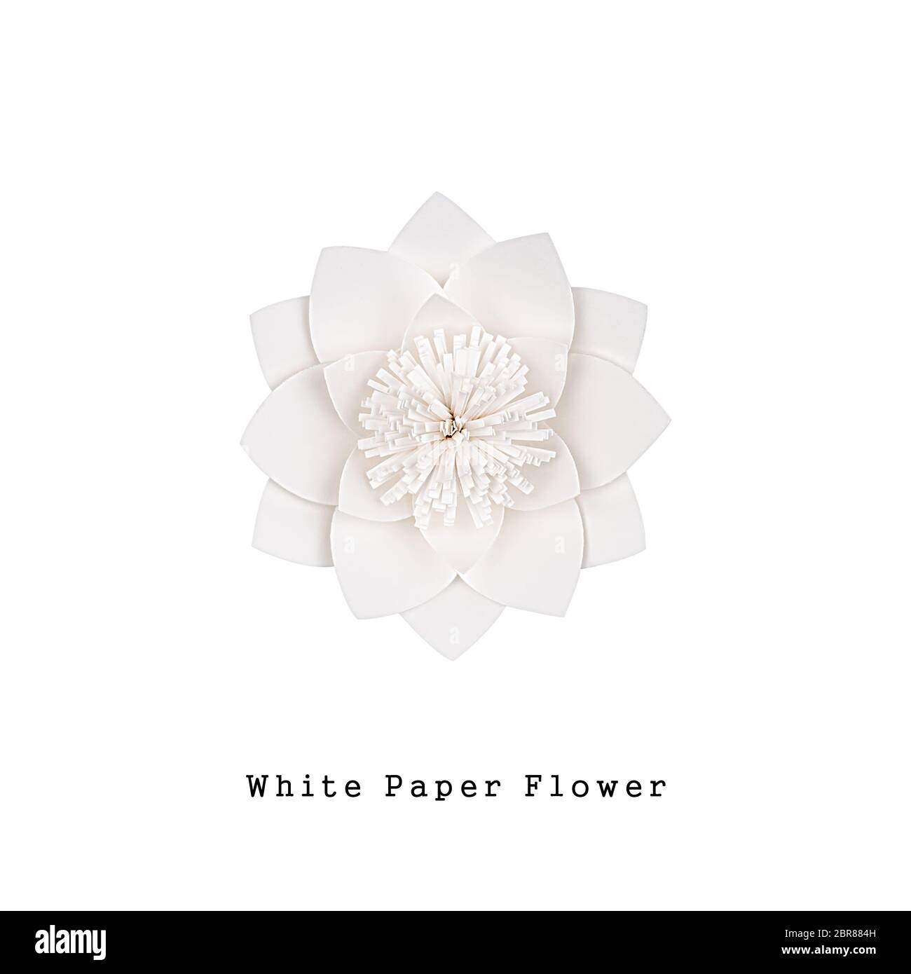 White paper flower handmade, top view, isolated Stock Photo - Alamy