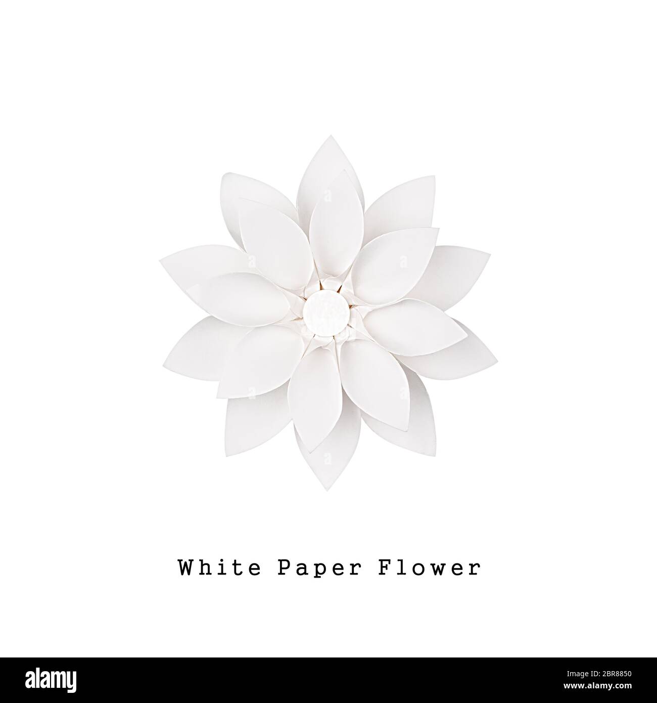 White paper flower handmade, top view, isolated Stock Photo - Alamy