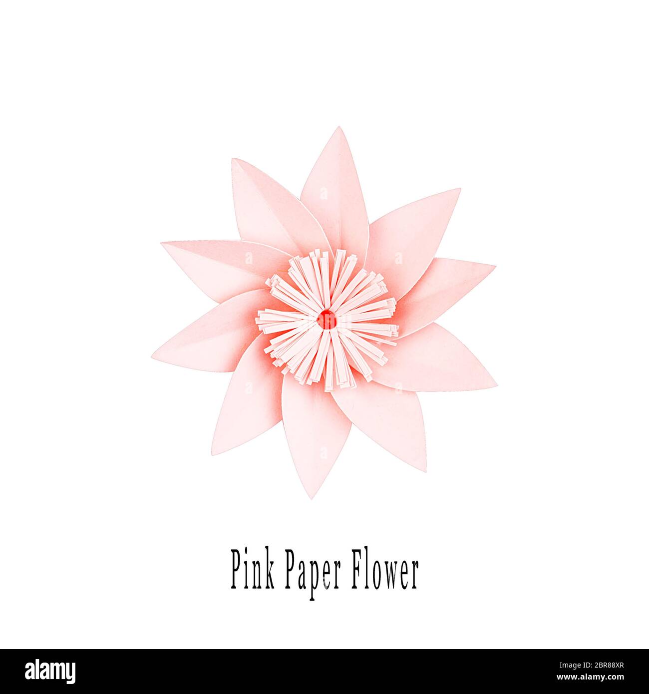 Pink paper flower handmade, top view, isolated Stock Photo - Alamy