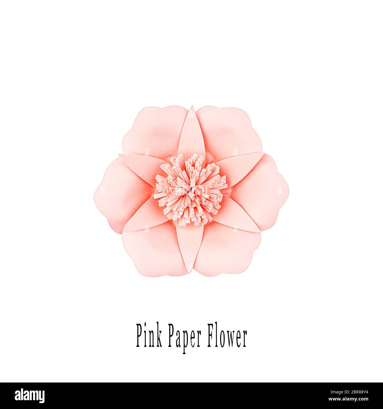 Pink paper flower handmade, top view, isolated Stock Photo - Alamy