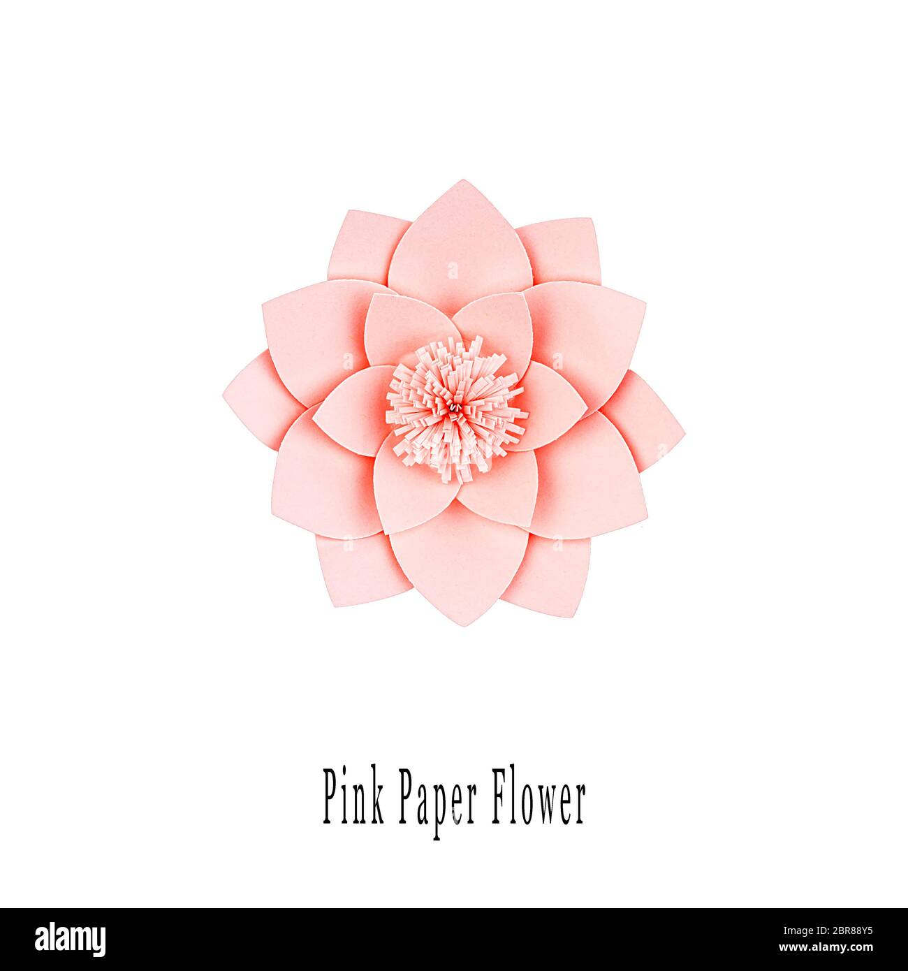 Pink paper flower handmade, top view, isolated Stock Photo - Alamy