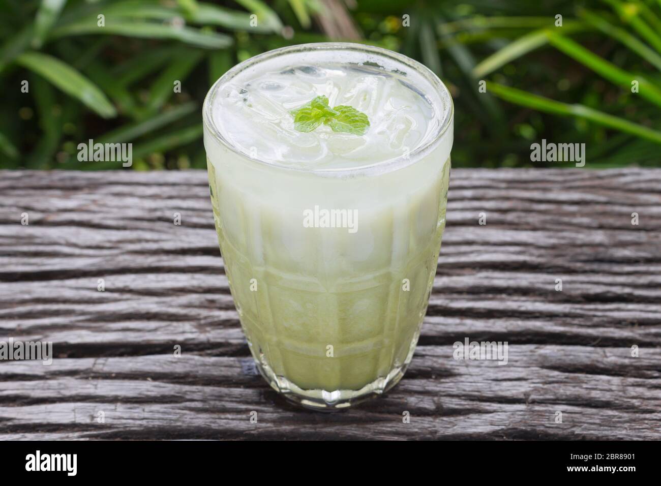 Cold Green Tea Milk Beverage or Cold Drinks Center Frame. Green cold ...