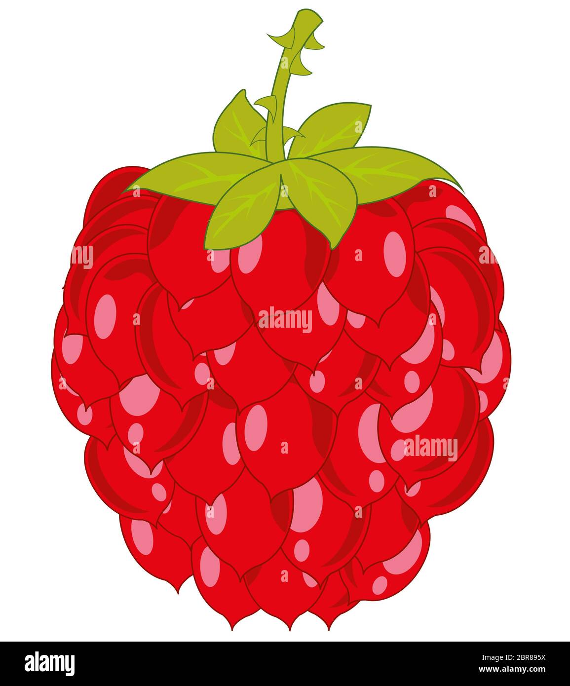 Vector illustration of the cartoon of the ripe berry raspberry Stock ...