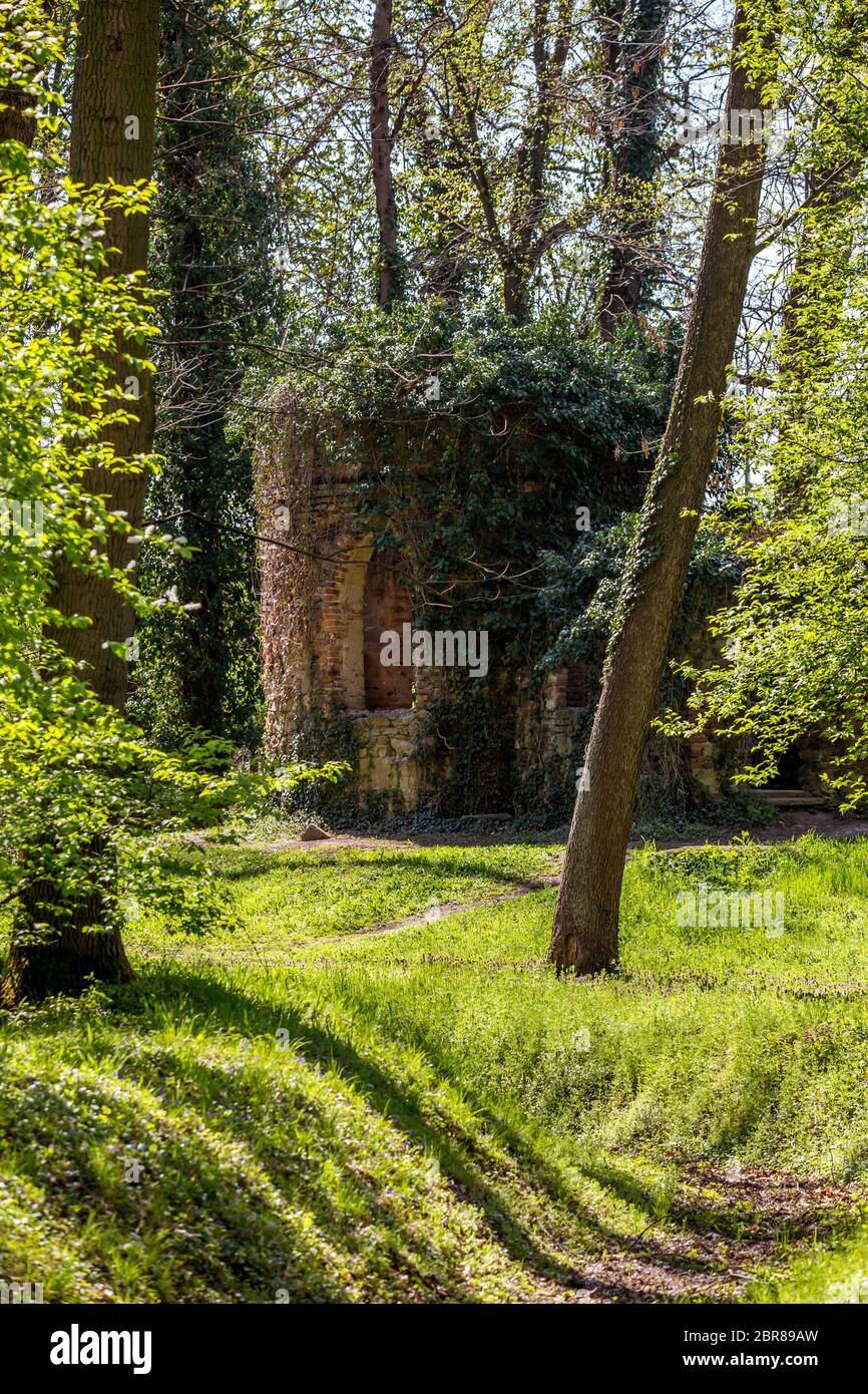 Old trees, gazebo and ruins of old chapel in English park of baroque ...