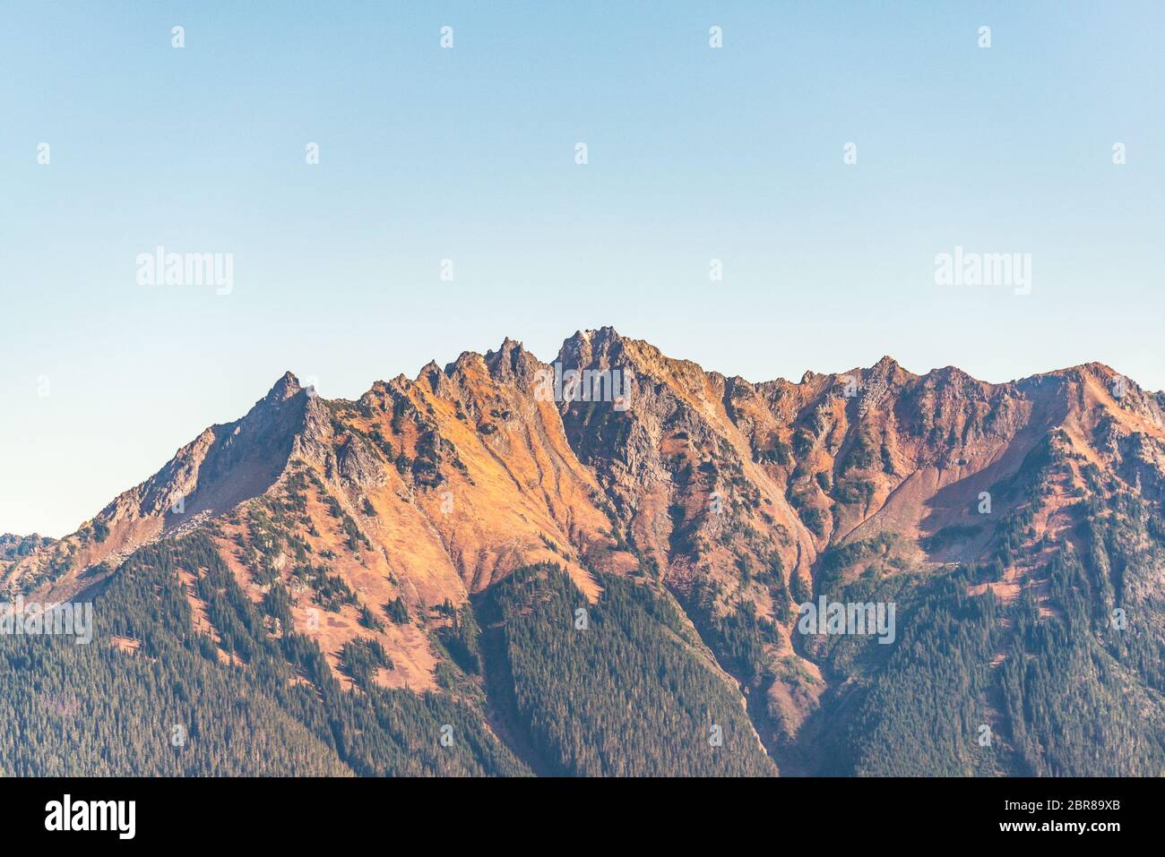 some scenic view of mt Shuksan in Artist point area on the day,summer ...