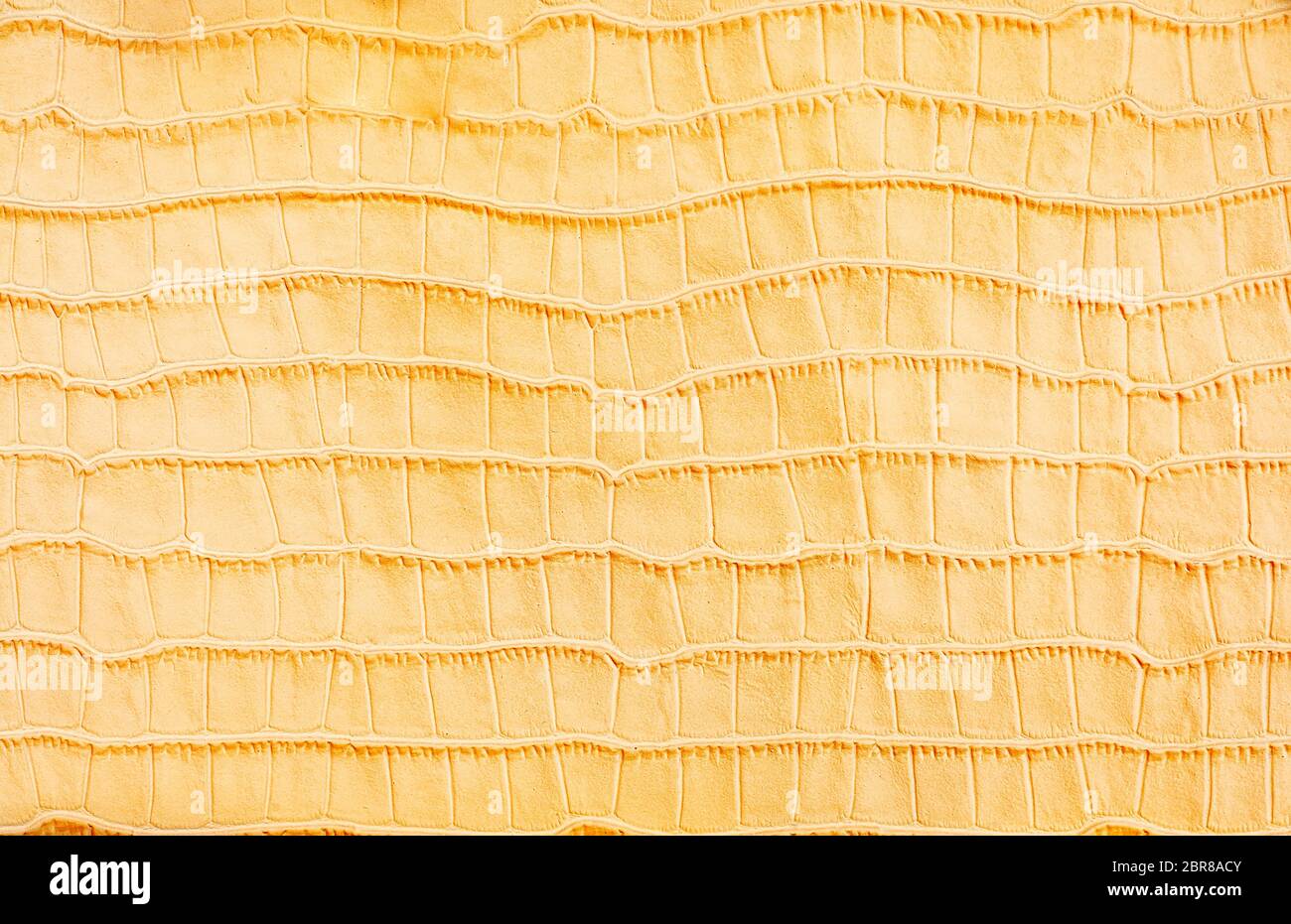 Stylized serpent hi-res stock photography and images - Alamy