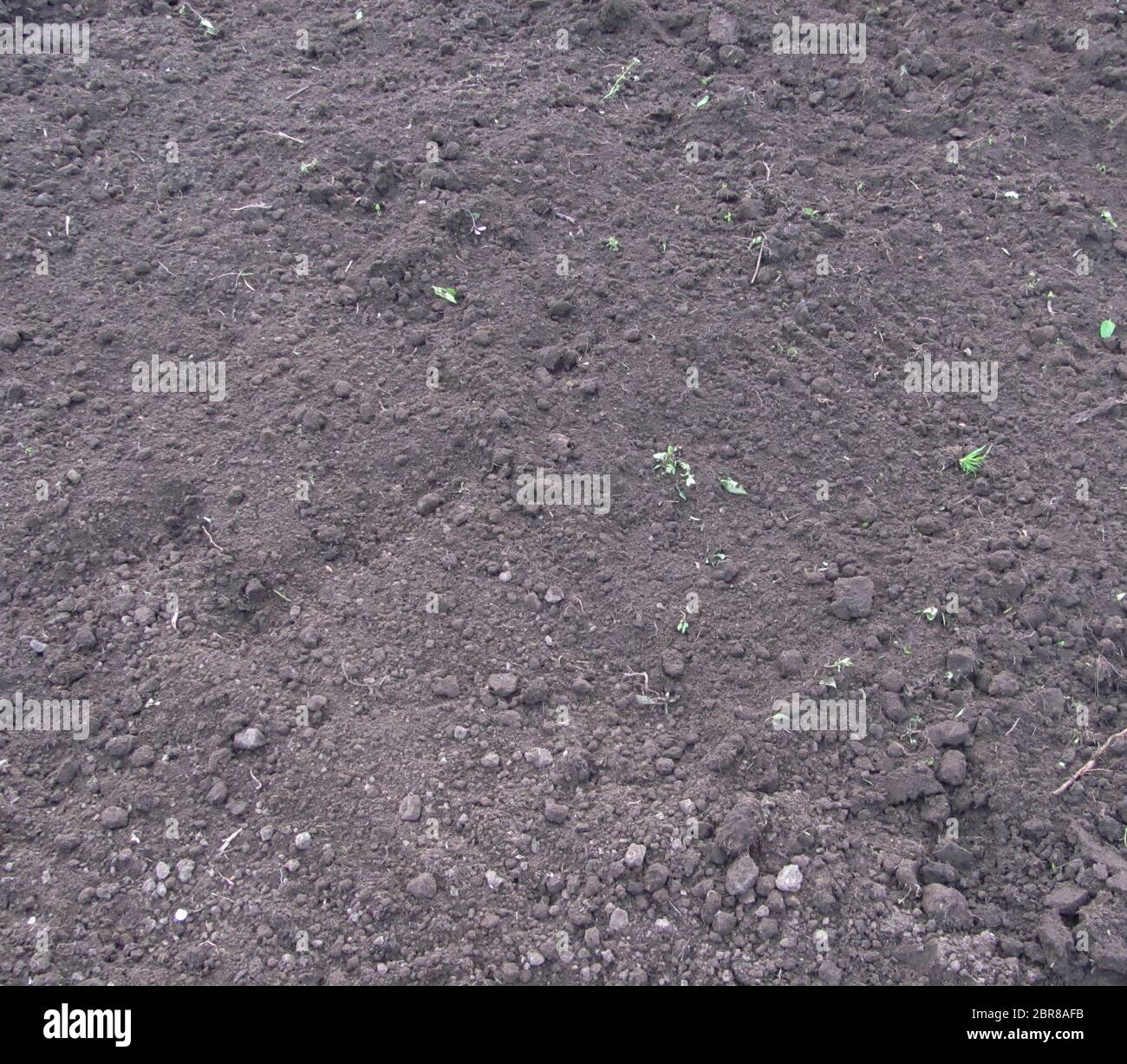 gray dry soil texture background Stock Photo - Alamy