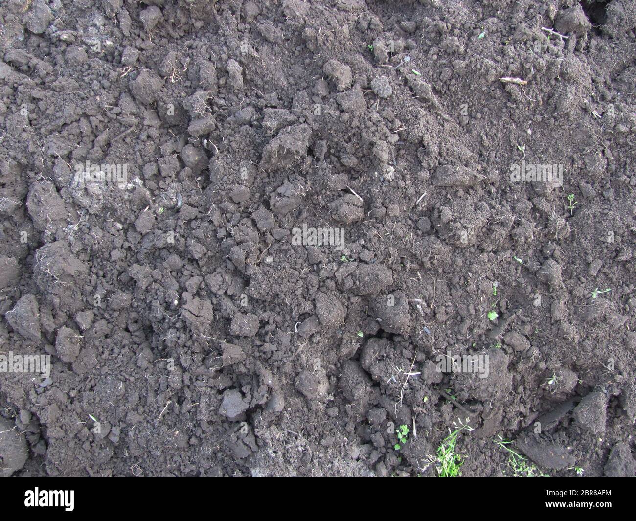 gray dry soil texture background Stock Photo - Alamy
