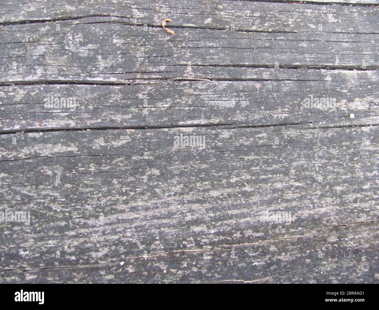 old weathered gray wood texture Stock Photo - Alamy