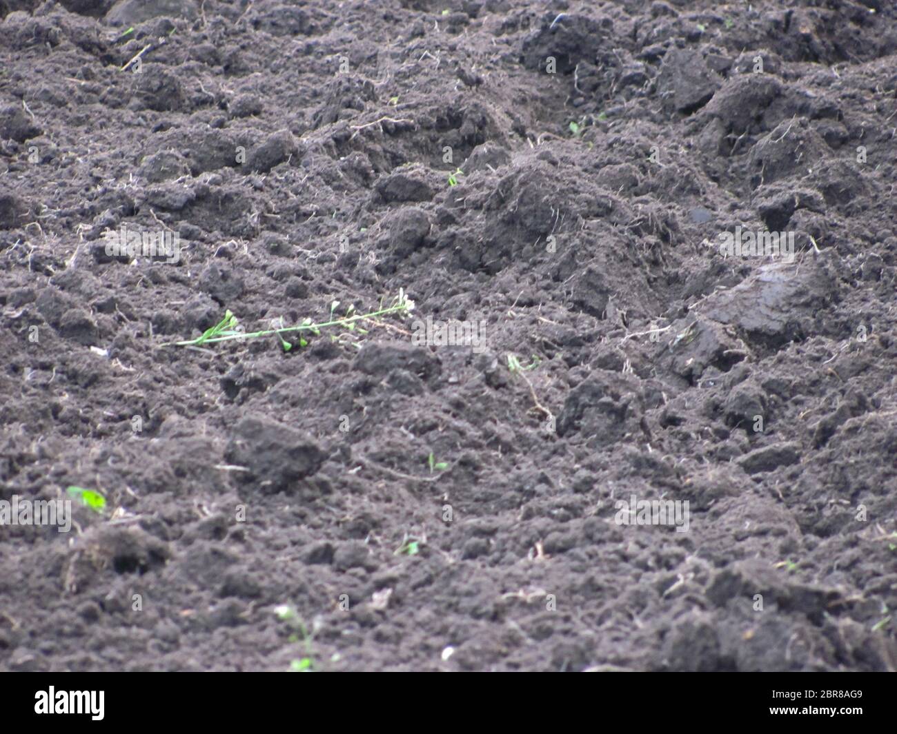 gray dry soil texture background Stock Photo - Alamy